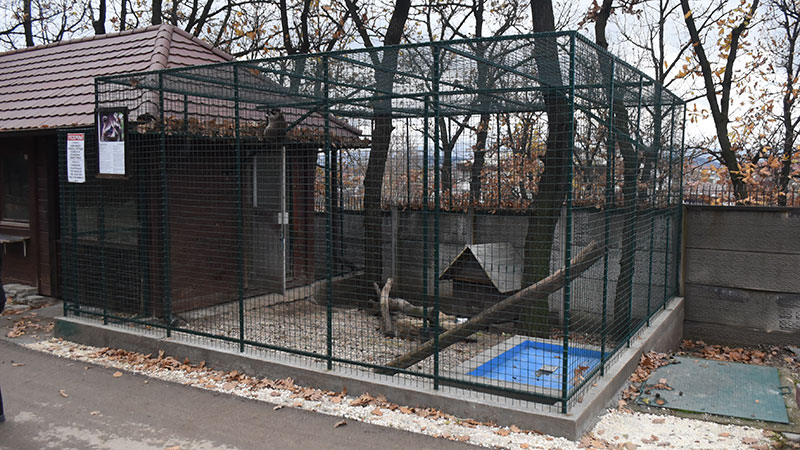 Novi stanovnici stigli u borski Zoo vrt - Bor 030