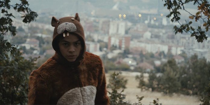 Pogledajte novi spot grupe "Stray Dogg" snimljen u Boru i okolini ...