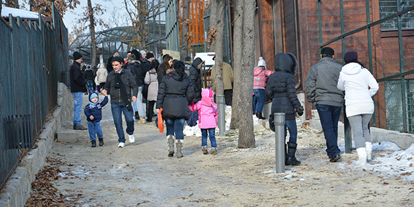Dve godine Zoološkog vrta Bor - Bor 030