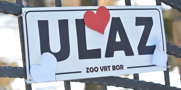 Zoo vrt u Boru obeležio Dan zaljubljenih - Bor 030