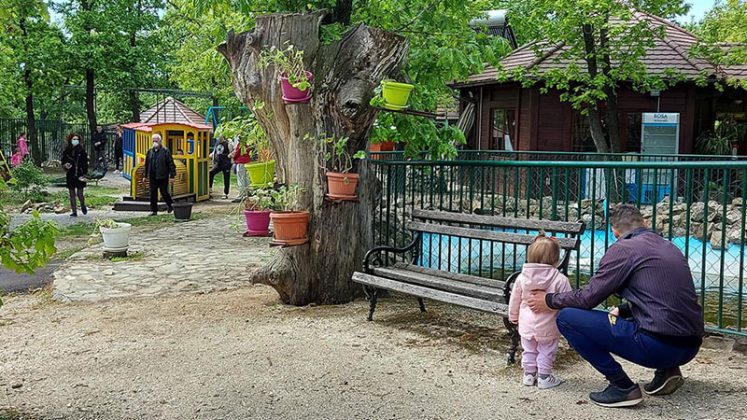 Zoološki vrt u Boru otvoren za posetioce - Bor 030